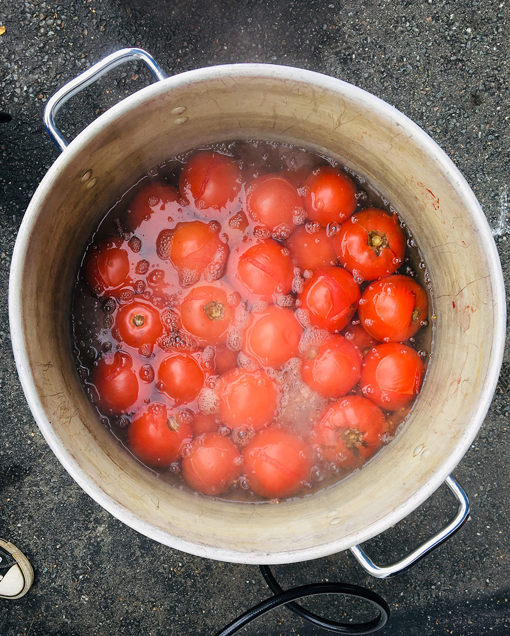 Nos meilleures recettes à base de tomates | Clinique Nutritive